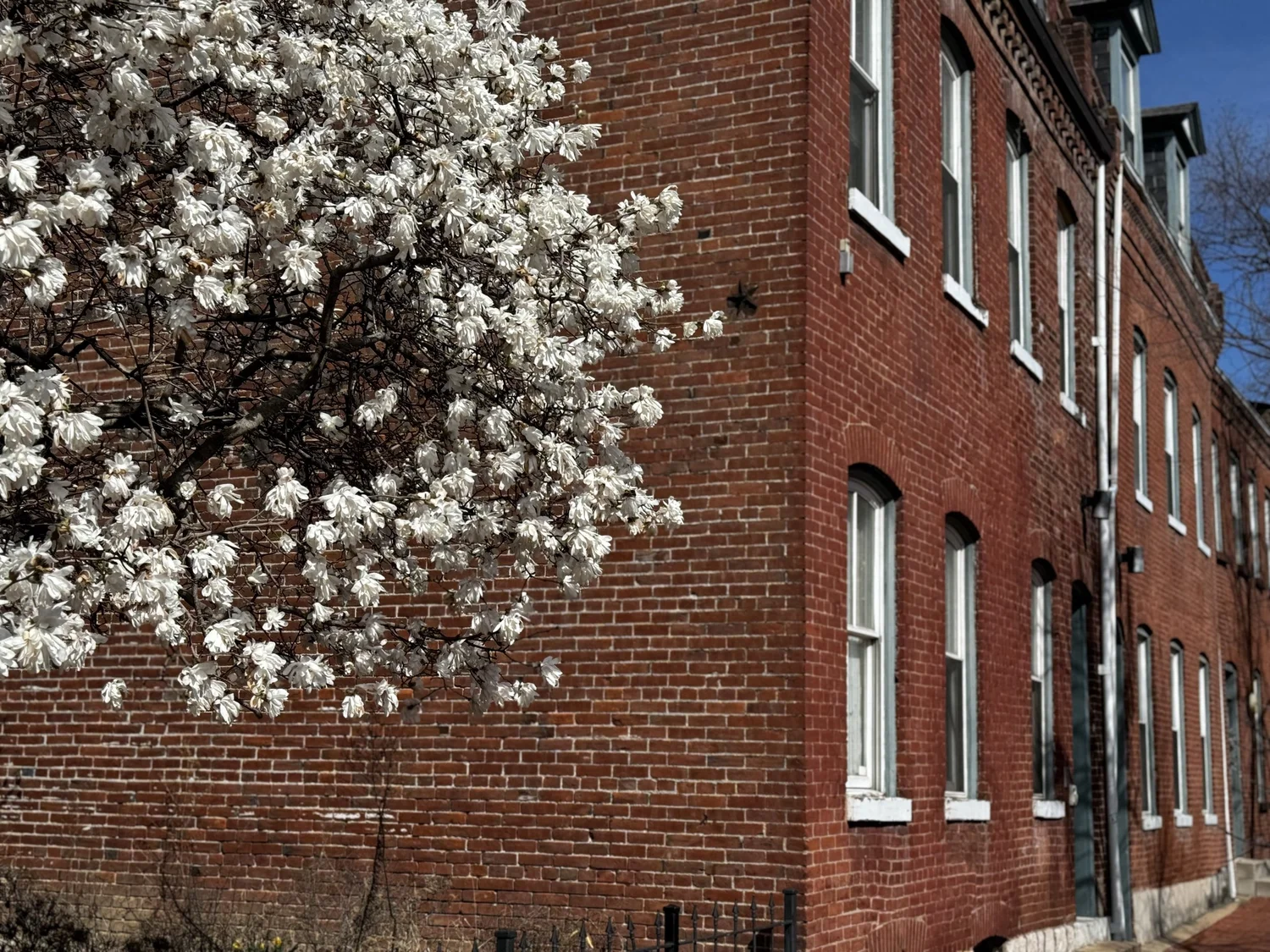 Soulard Restoration Group