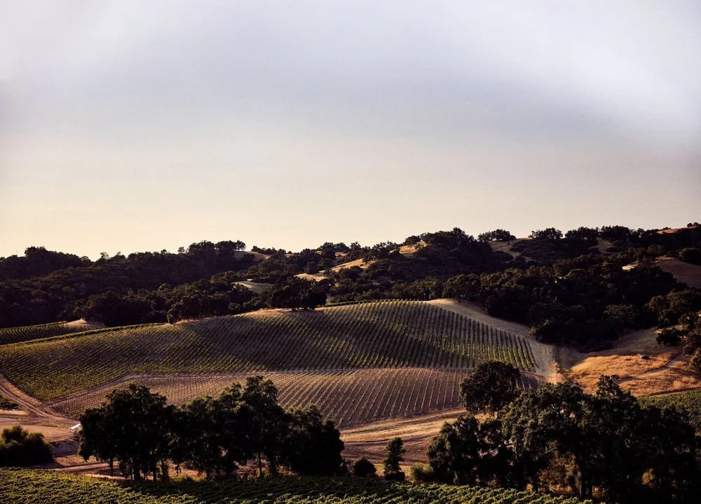 About Halter Ranch | Halter Ranch