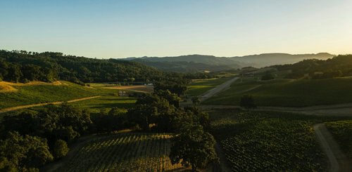 The Estate Wine Tasting Room in Paso Robles | Halter Ranch