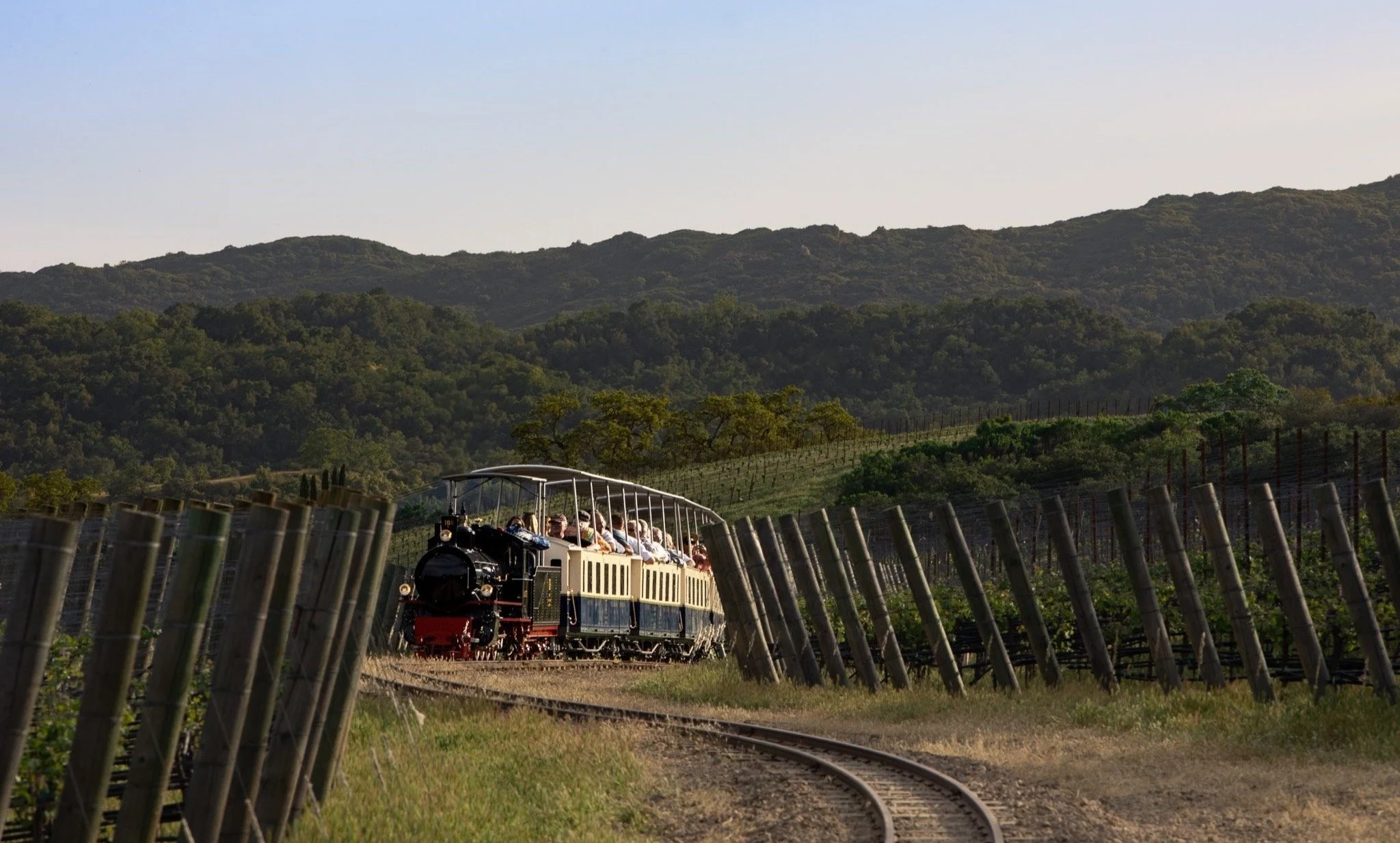 Halter Ranch | Discover Regenerative Organic Certified Wines, Food, Art ...