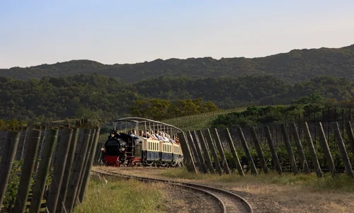 Halter Ranch | Discover Regenerative Organic Certified Wines, Food, Art ...