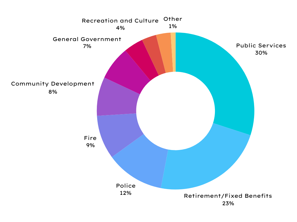 Local Government 101 — Lansing Citizens Manual