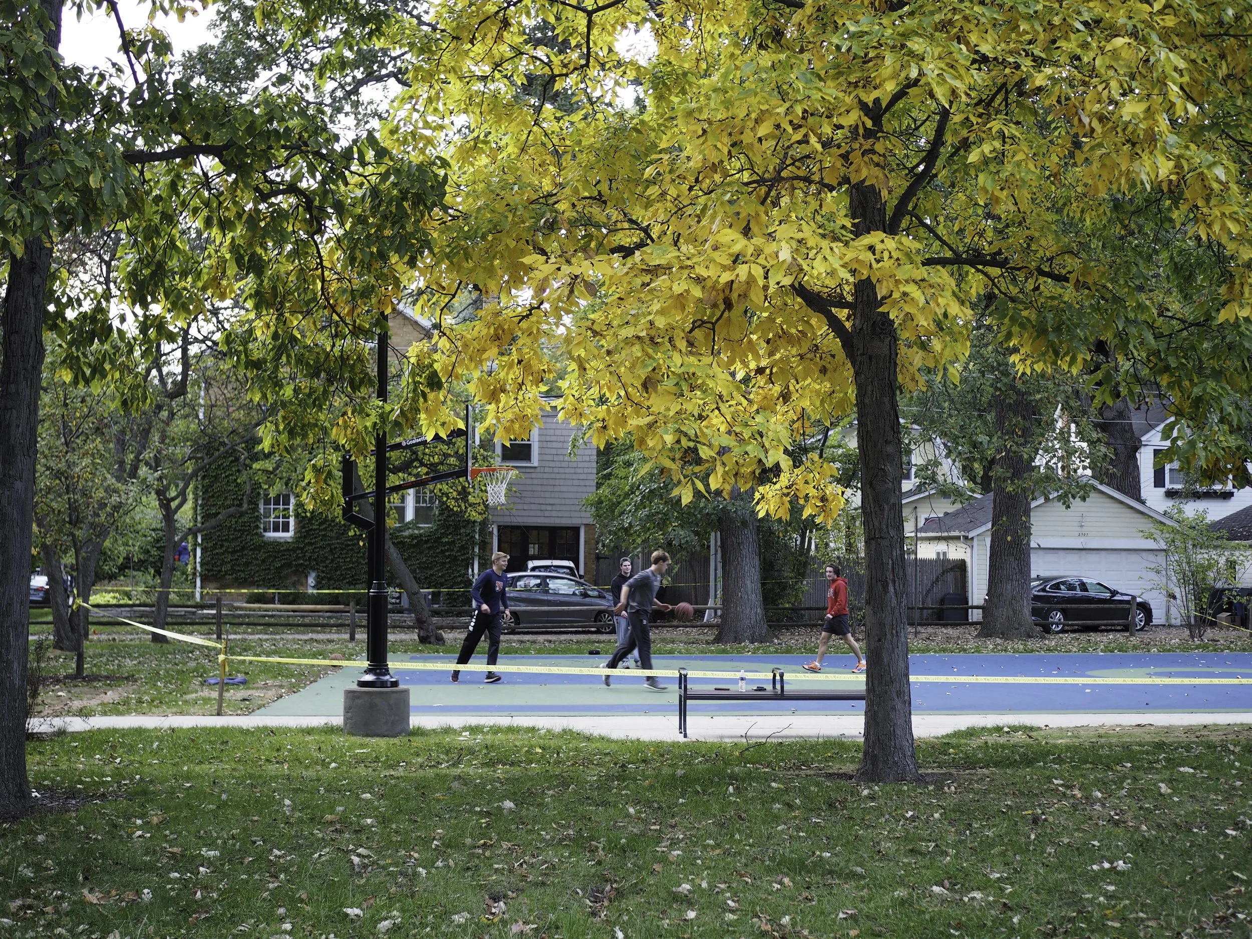 Catharine W. McCulloch Park — TERRA Landscape Architecture