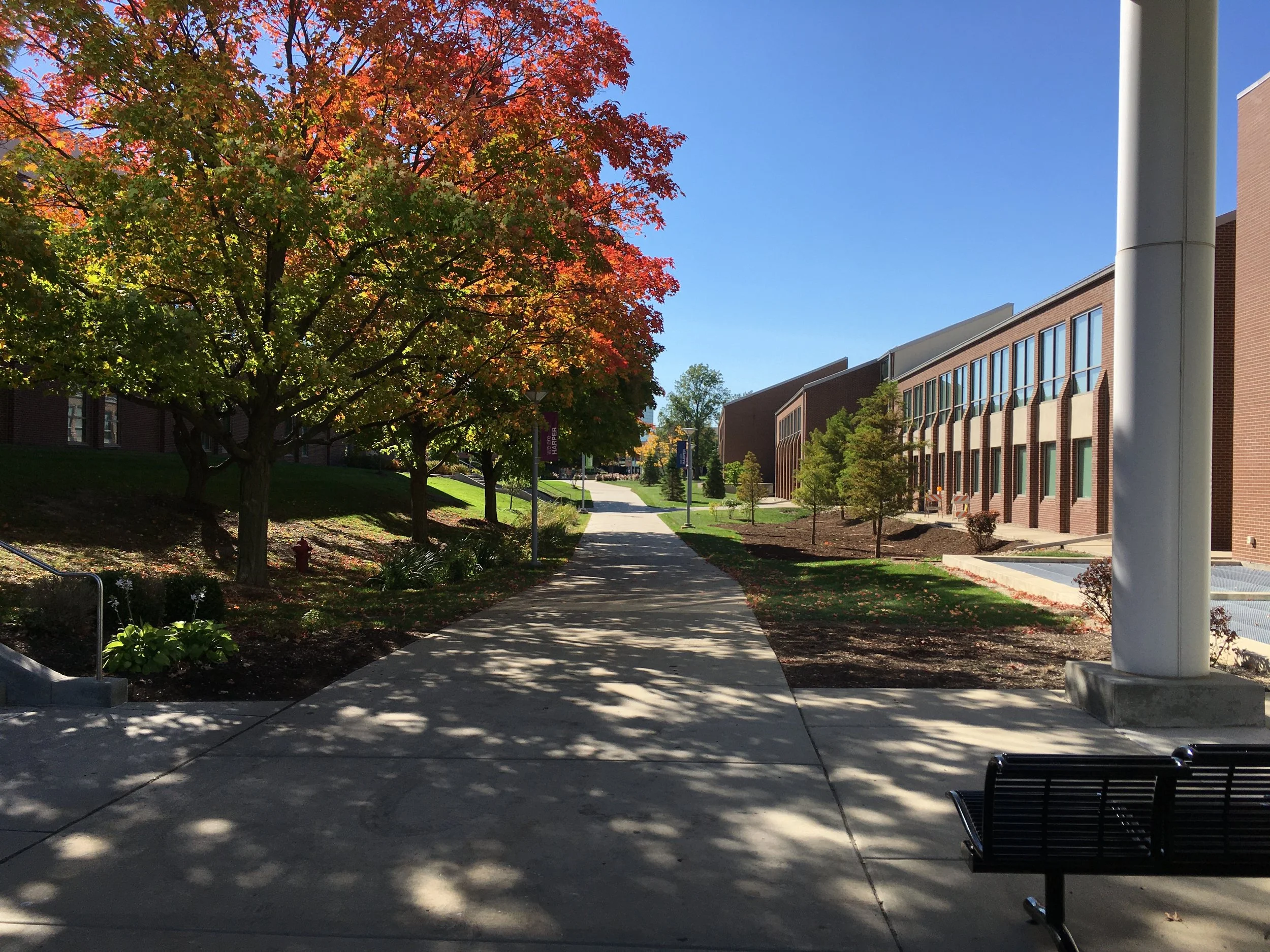 Harper College Master Plan — TERRA Landscape Architecture