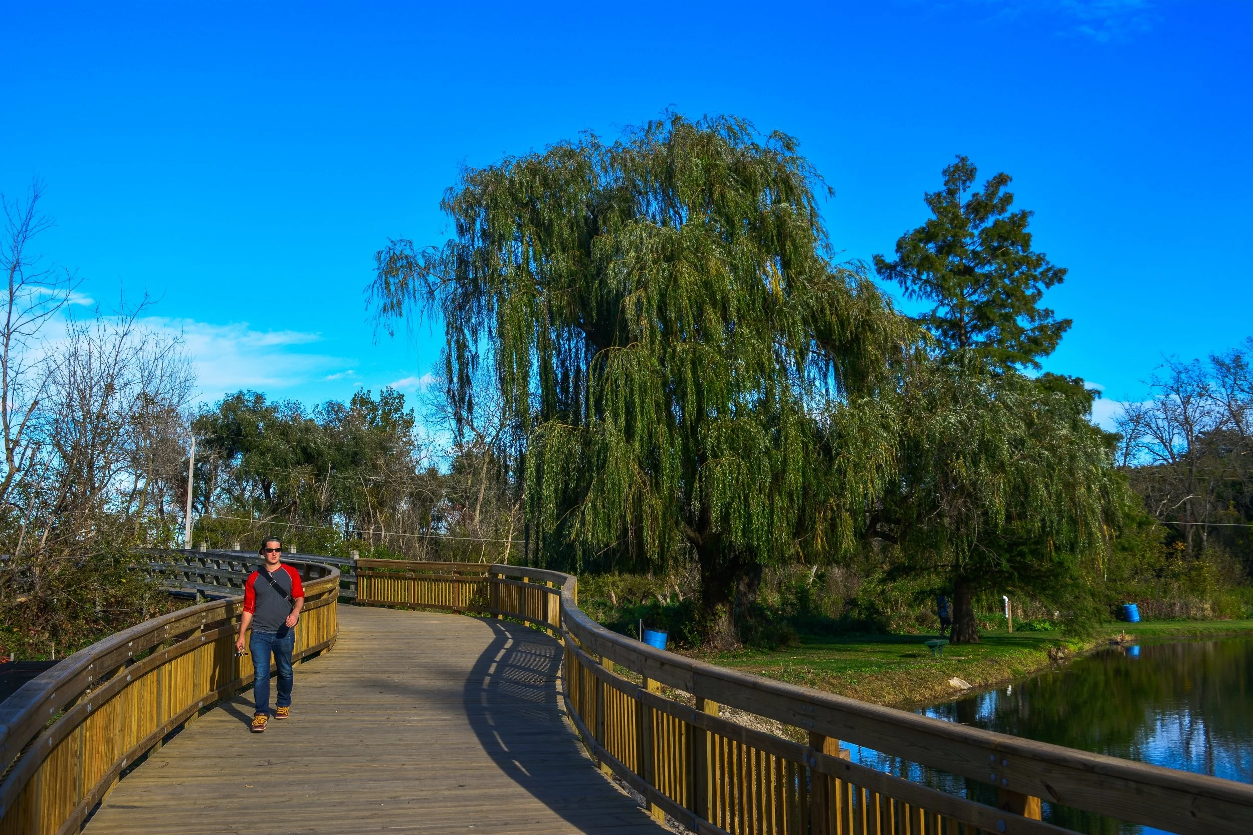 Whalon Lake Bolingbrook Trail — TERRA Landscape Architecture