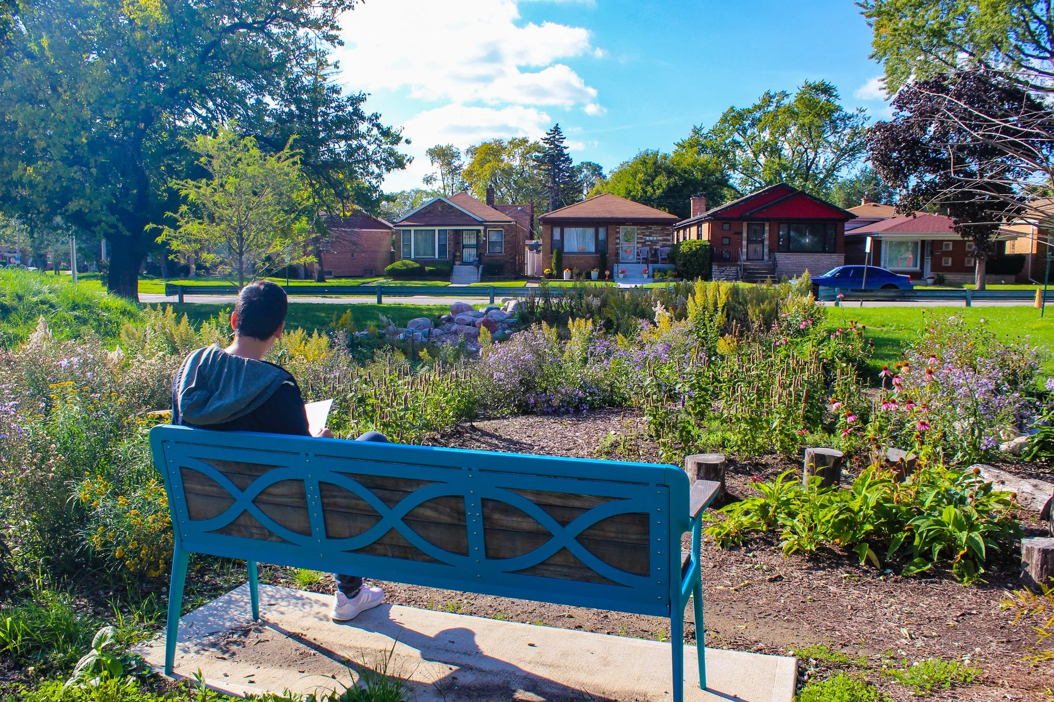Pekny Park — TERRA Landscape Architecture