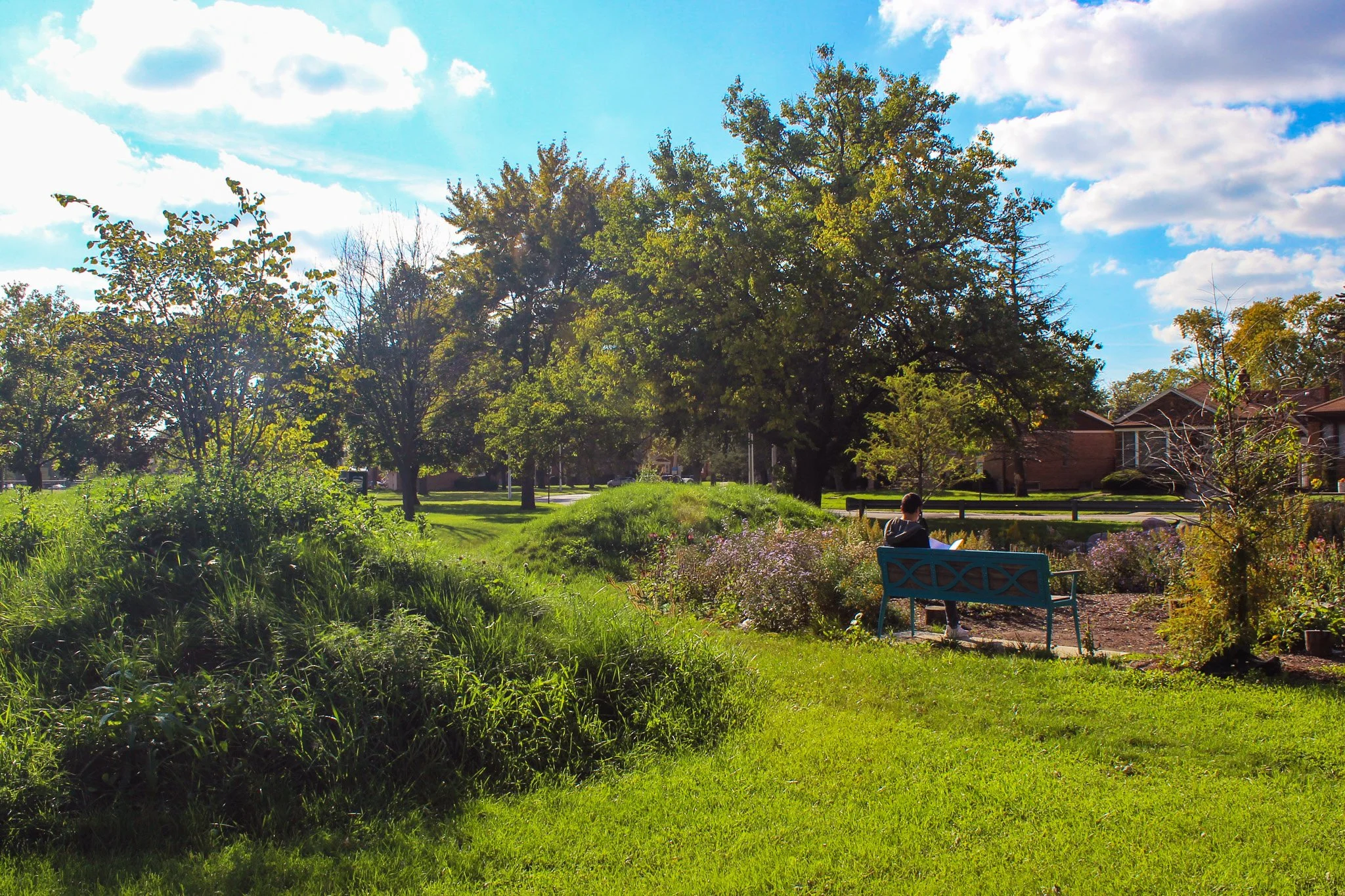 Pekny Park — TERRA Landscape Architecture