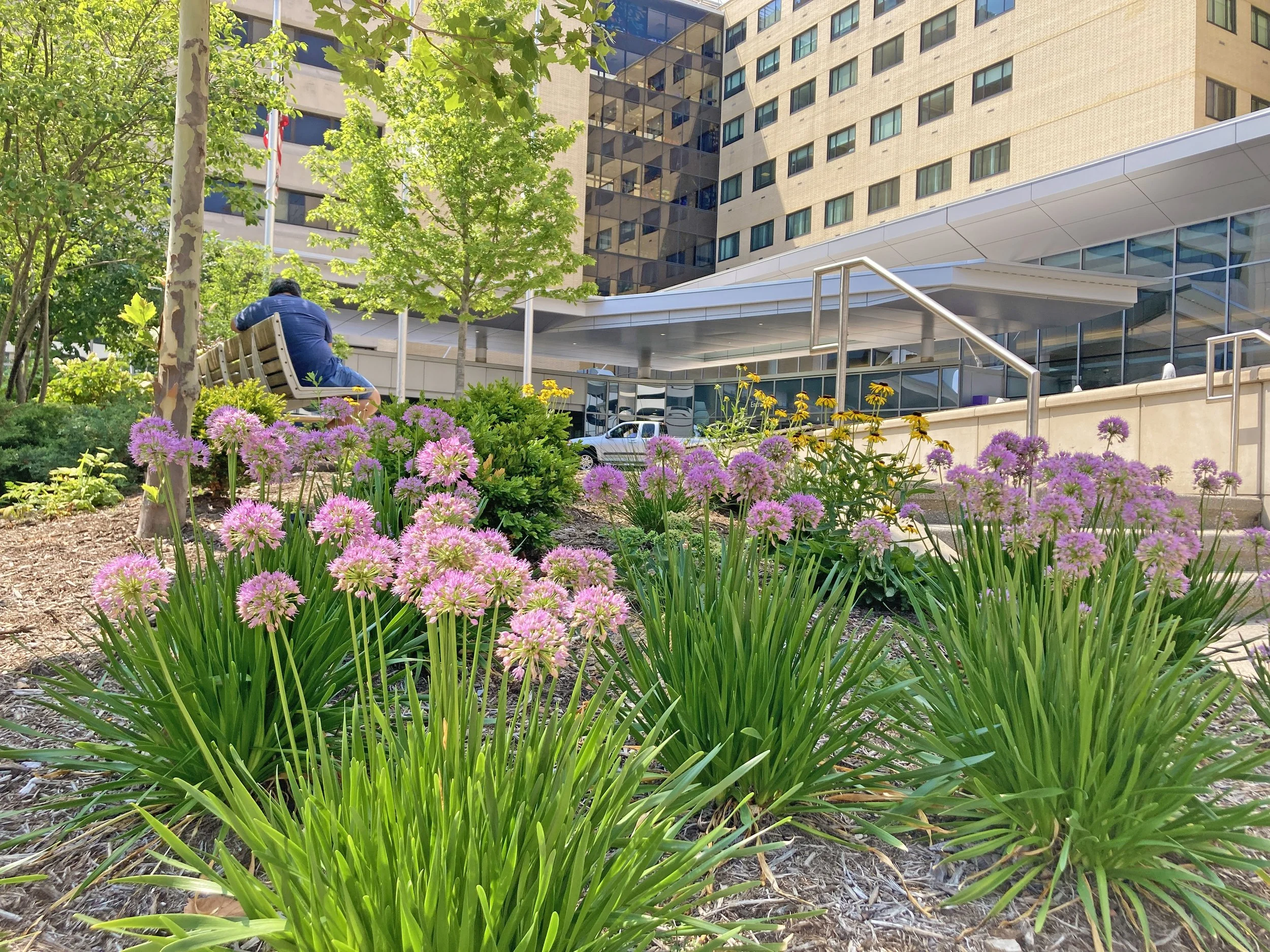 Advocate Aurora Christ Medical Center — TERRA Landscape Architecture