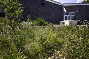 Durkin Park Elementary School — TERRA Landscape Architecture