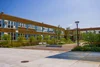 Stevenson Elementary School — TERRA Landscape Architecture