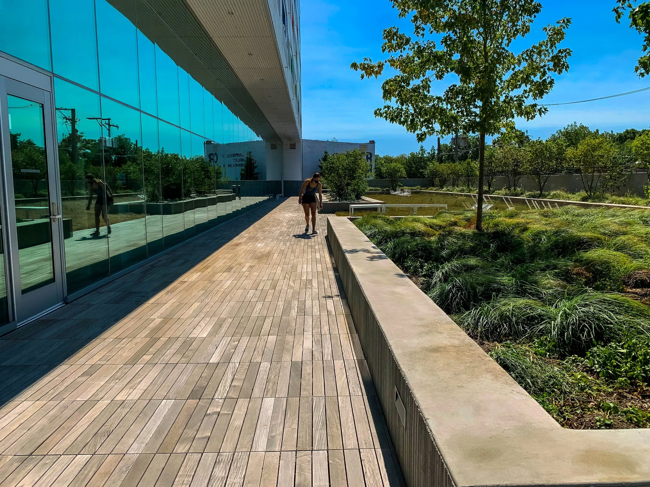 Independence Library & Apartments — TERRA Landscape Architecture