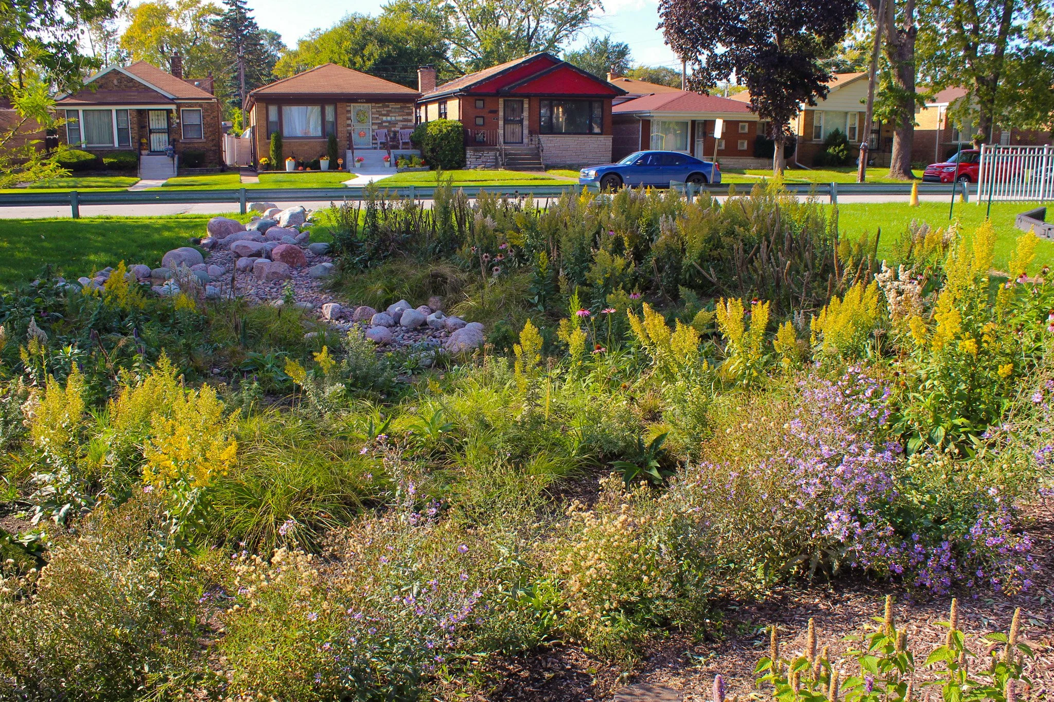 Pekny Park — TERRA Landscape Architecture