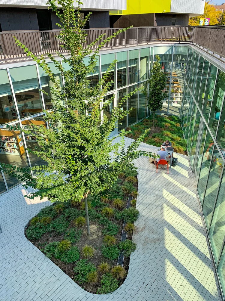 Northtown Library & Apartments — TERRA Landscape Architecture