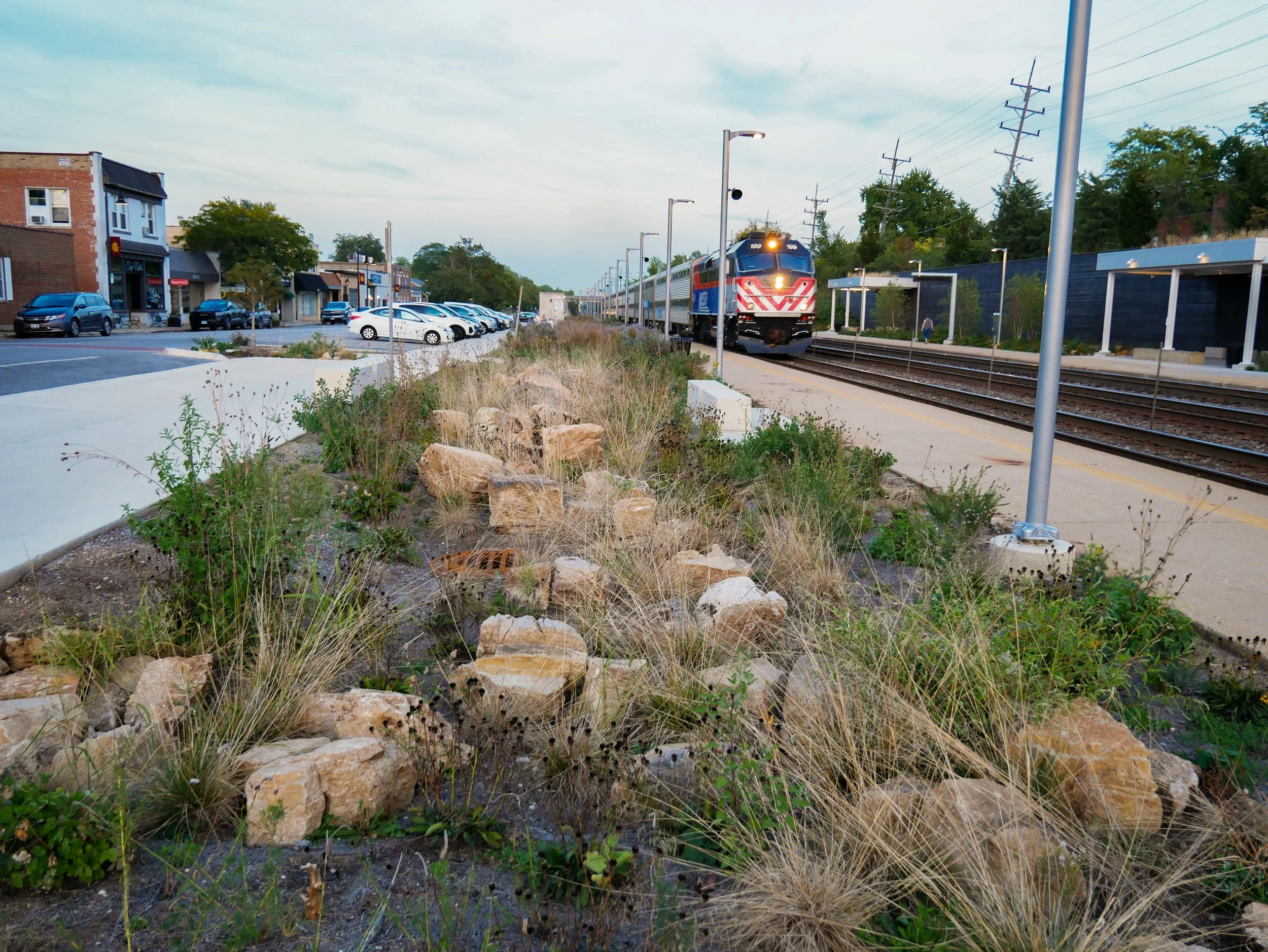 Clarendon Hills Metra Station — TERRA Landscape Architecture