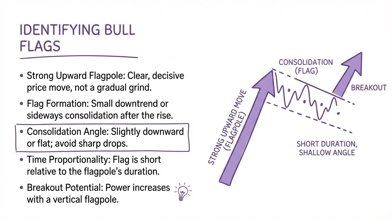 How to Trade the Bull Flag Pattern: Entry, Stop Loss & Examples (2026 ...