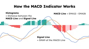 The Complete MACD Trading Guide: Master Momentum in Stocks, Forex ...