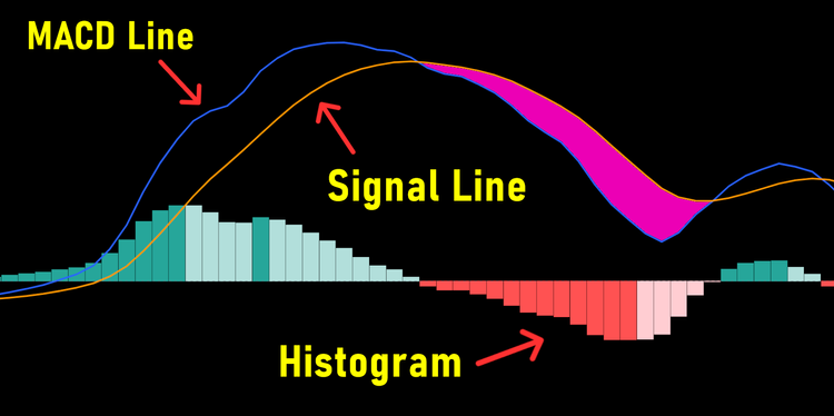 How to Use MACD Indicator: 2025 Guide for Beginners & Tips — Mind Math ...