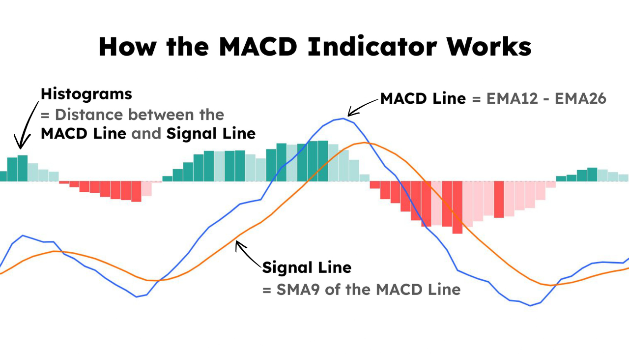 How to Use the MACD Indicator in TradingView: Step-by-Step Tutorial — Mind Math Money