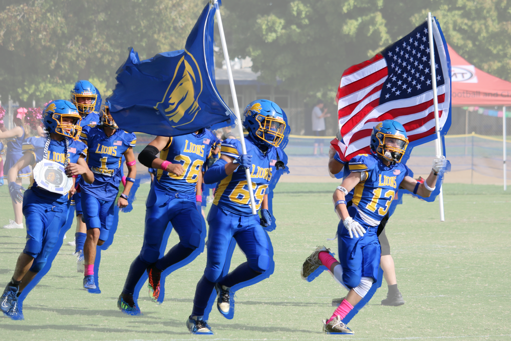 Linden Youth Lions