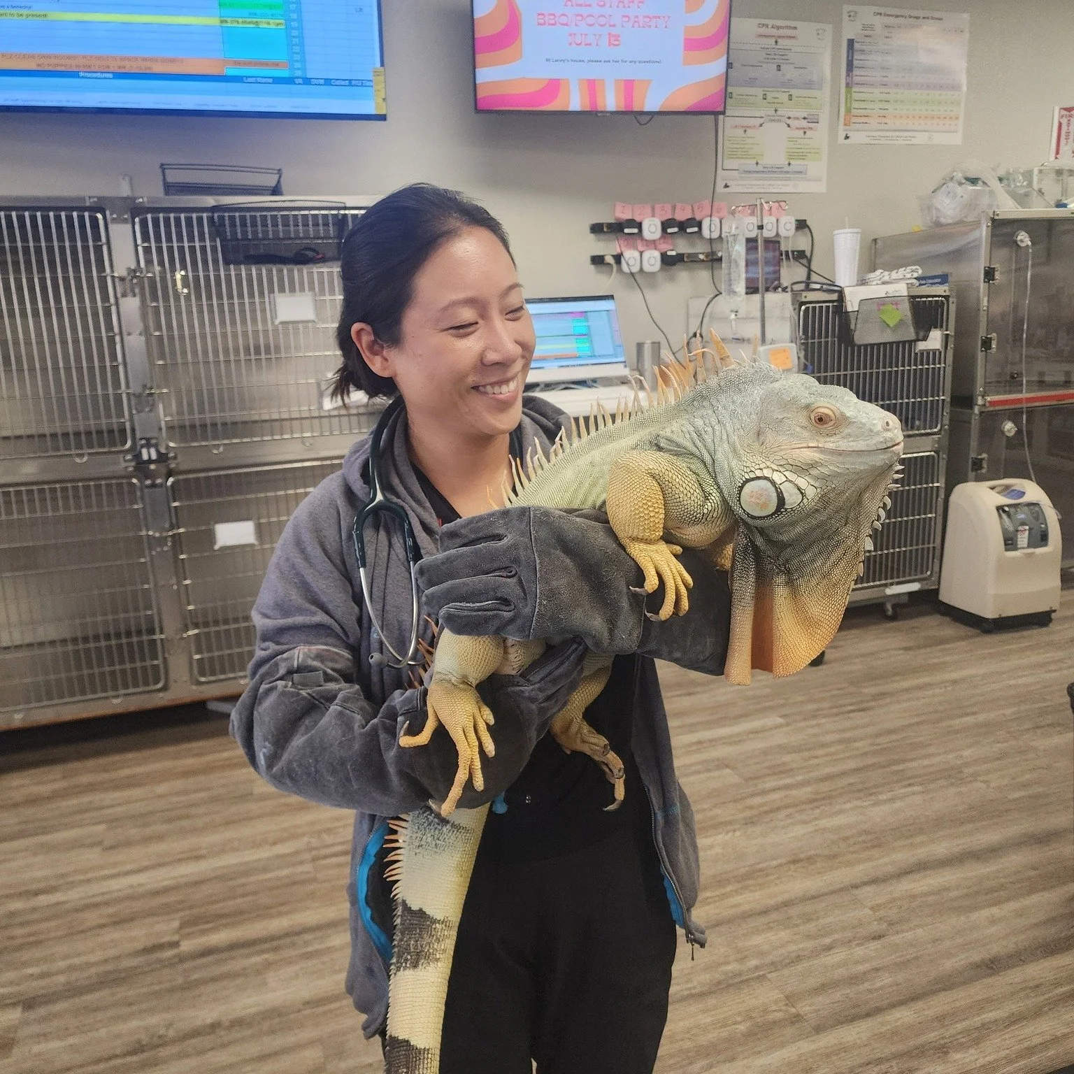 Horse Heaven Hills Pet Urgent Care and Veterinary Center