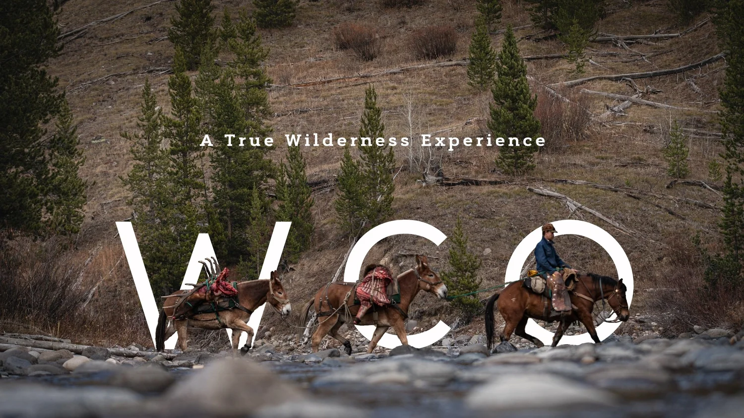 A True Wilderness Experience