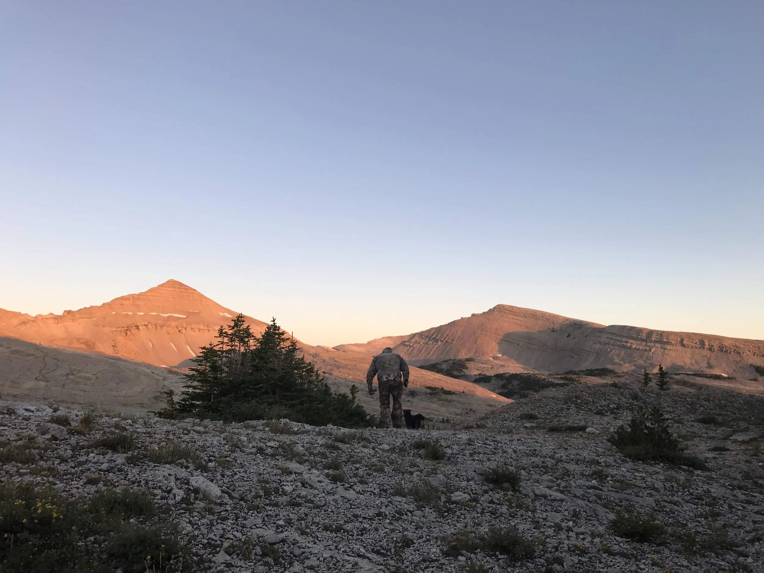 Big Horn Sheep Hunting — A True Wilderness Experience