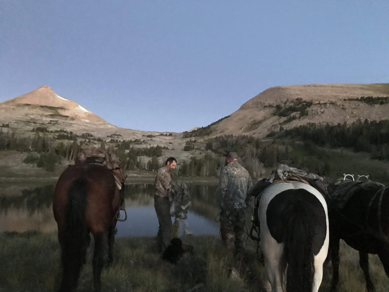 Big Horn Sheep Hunting — A True Wilderness Experience