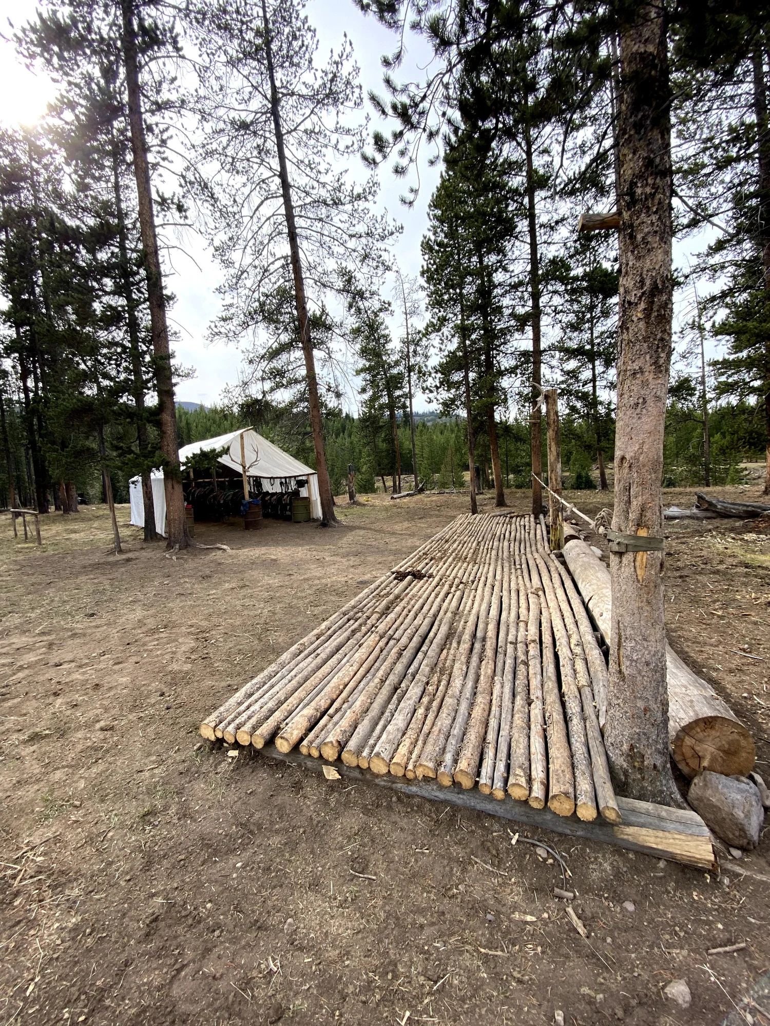 Elk Hunting — A True Wilderness Experience