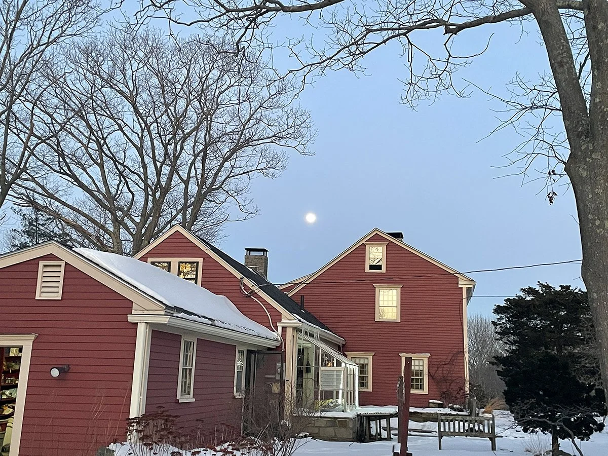 Local Lands, Local Histories — MOLLY HARDY