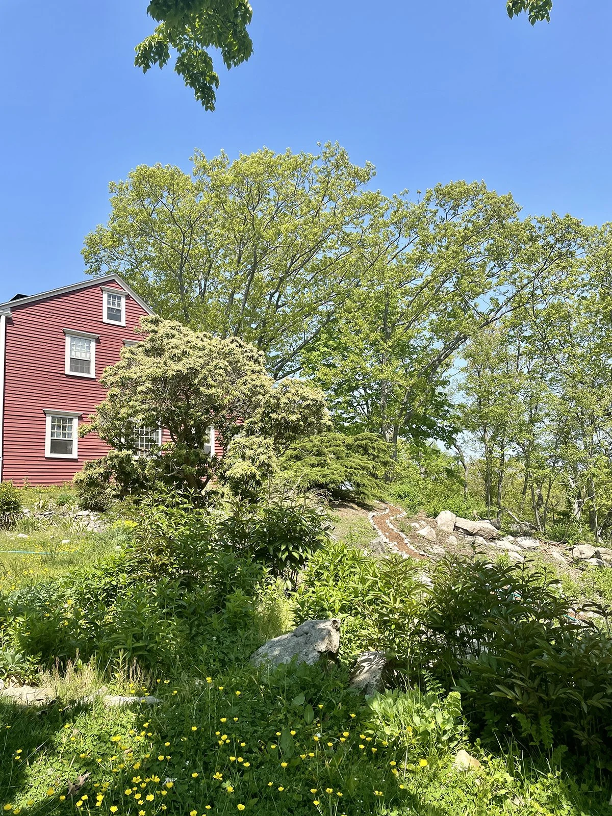 Local Lands, Local Histories — MOLLY HARDY