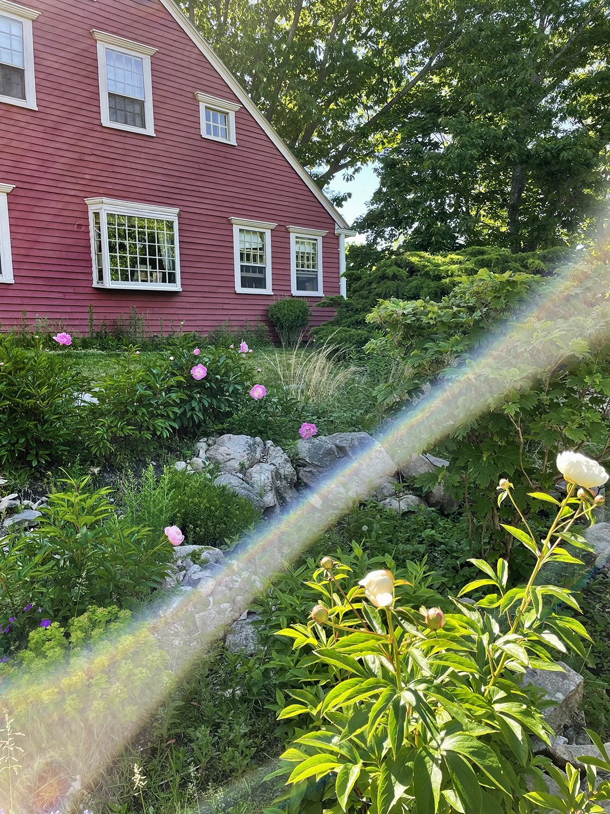 Local Lands, Local Histories — MOLLY HARDY