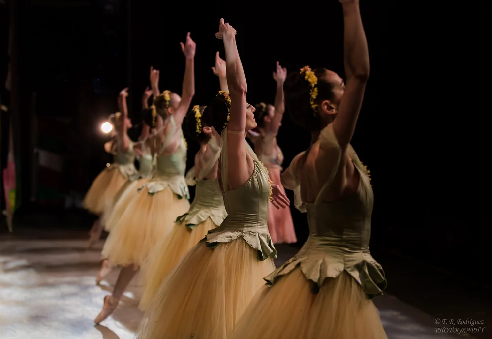 Rochester City Ballet