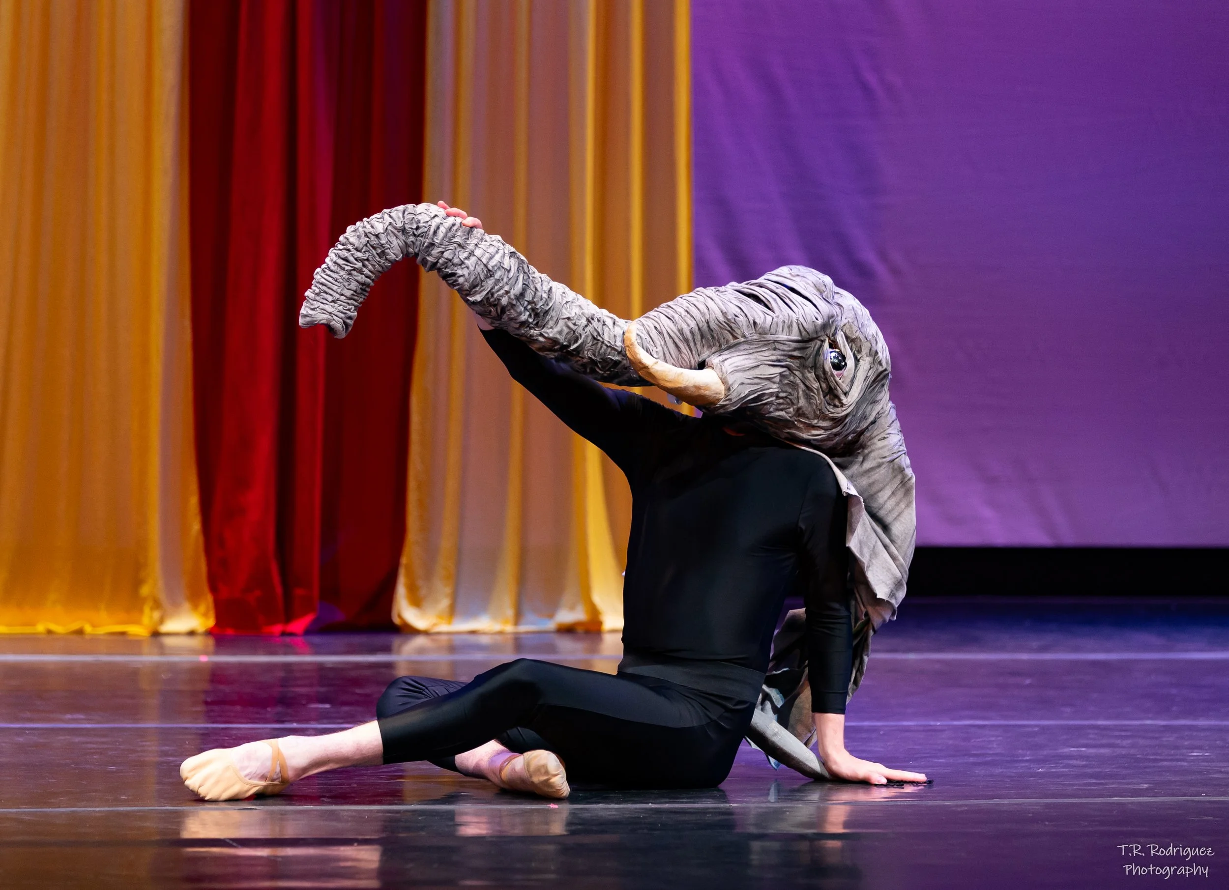Performances — Rochester City Ballet