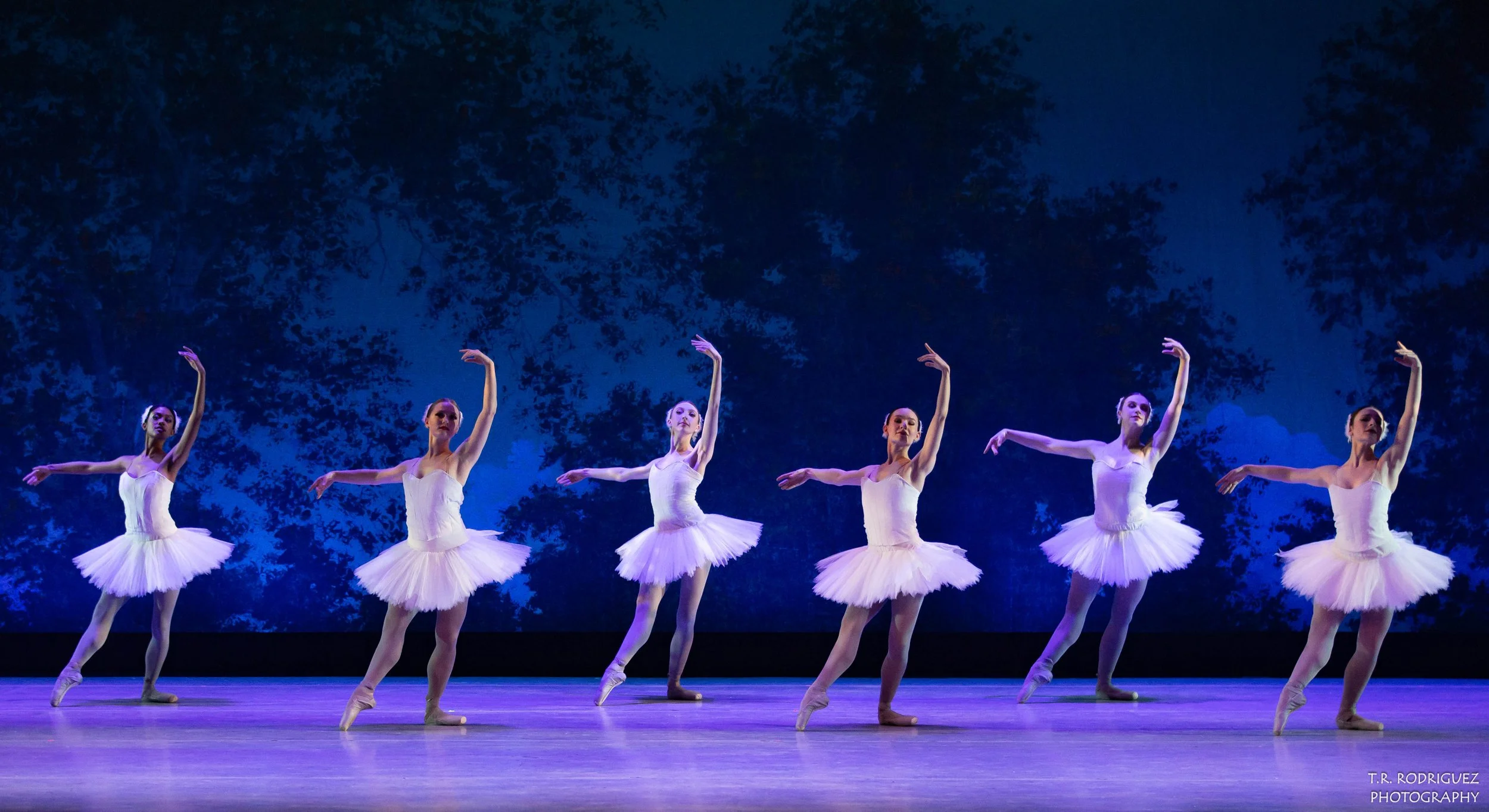 Support Us — Rochester City Ballet