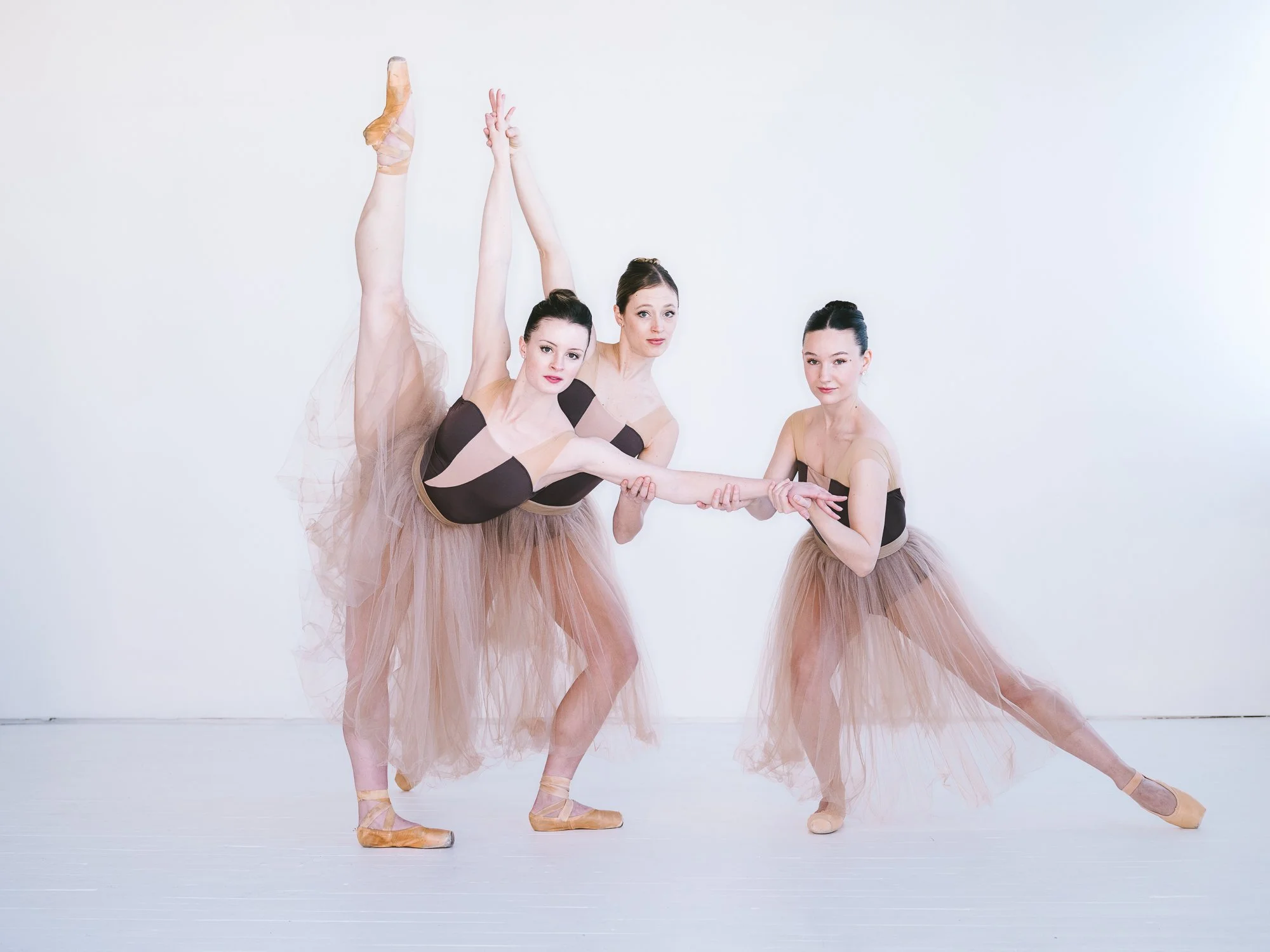 Rochester City Ballet announces 2024|2025 Season — Rochester City Ballet