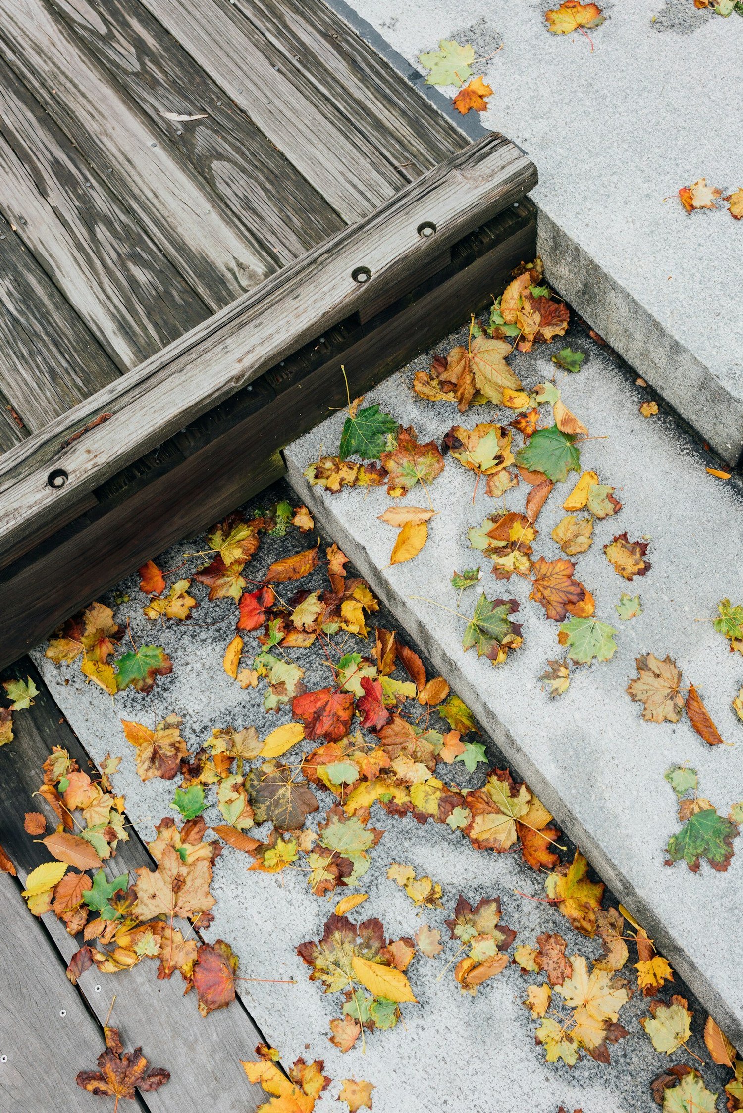 Services — Oakstone Landscape