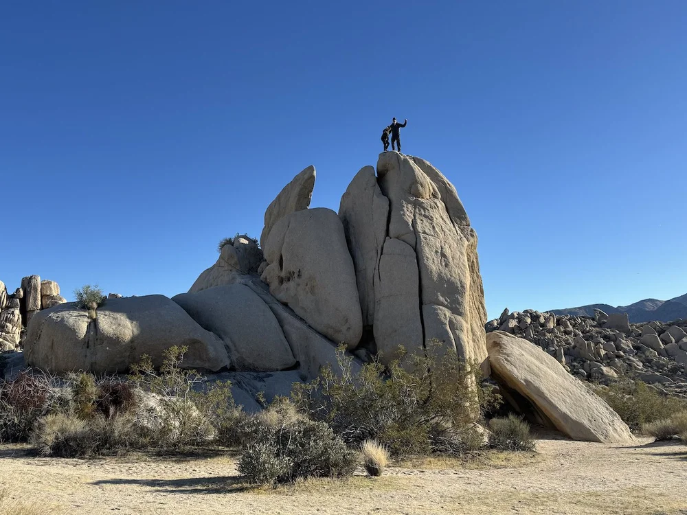 Joshua Tree: Rockin’ in the Free World — Peyton Roberts / Roberts Road Trip