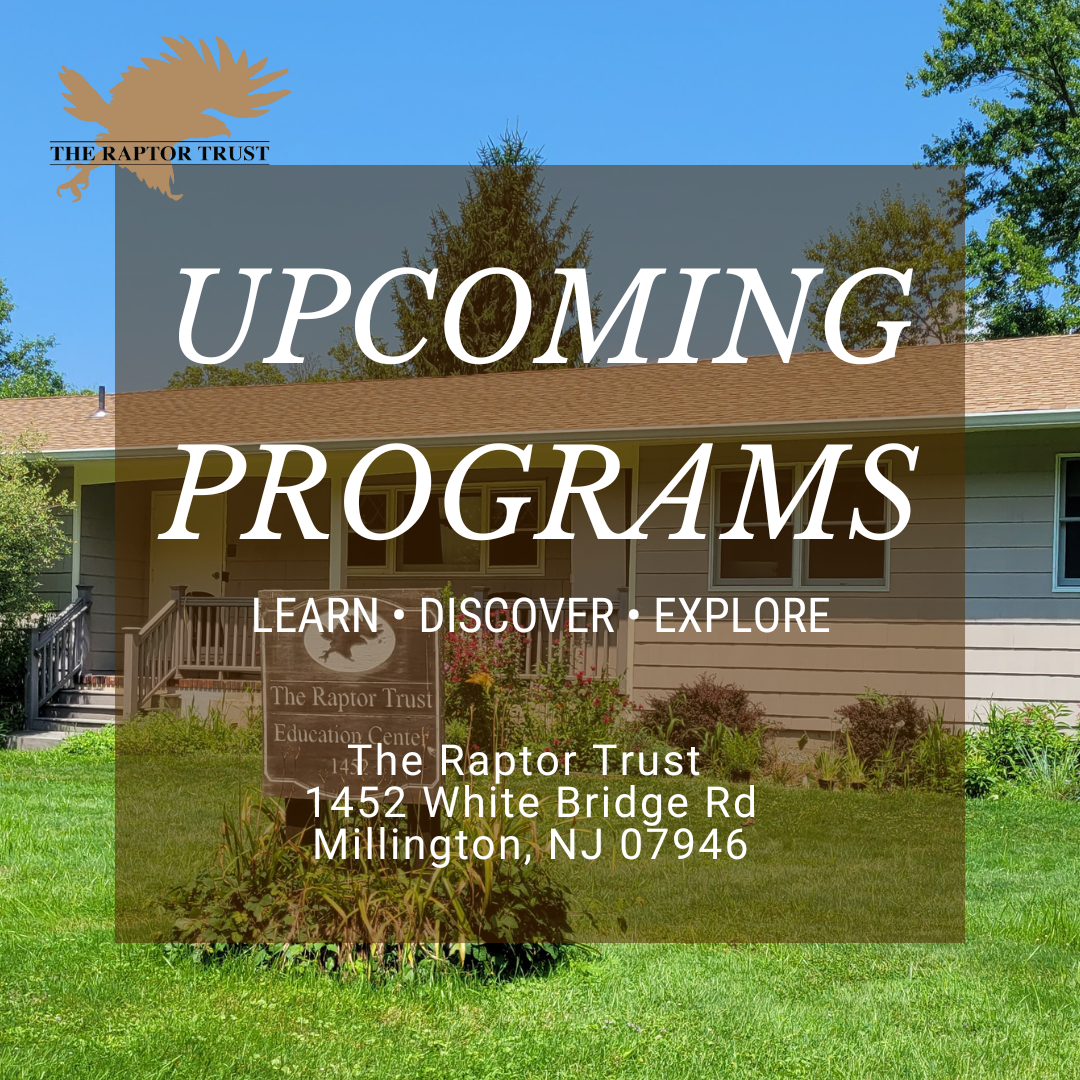 The Raptor Trust | Bird Rehabilitation and Education Center