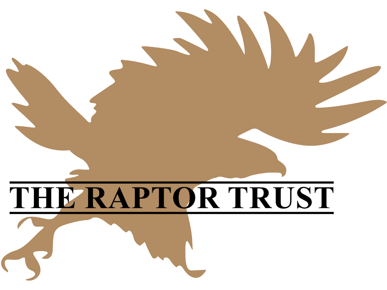 Raptor Bird Logo