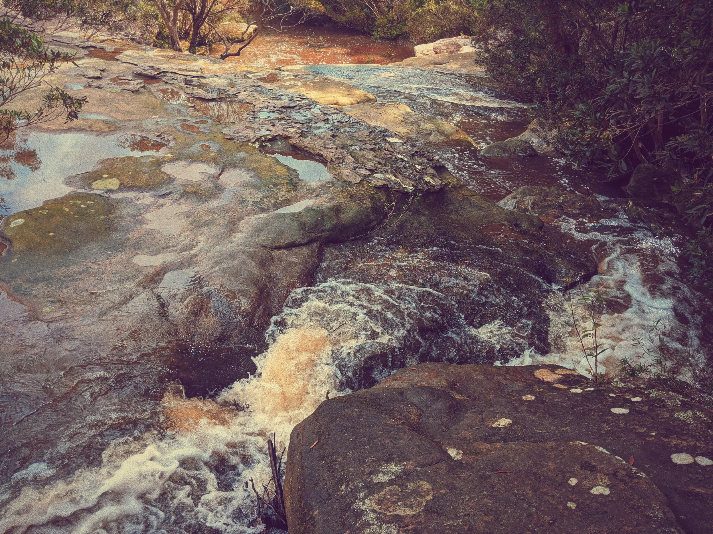 About — Dr Portia Predny