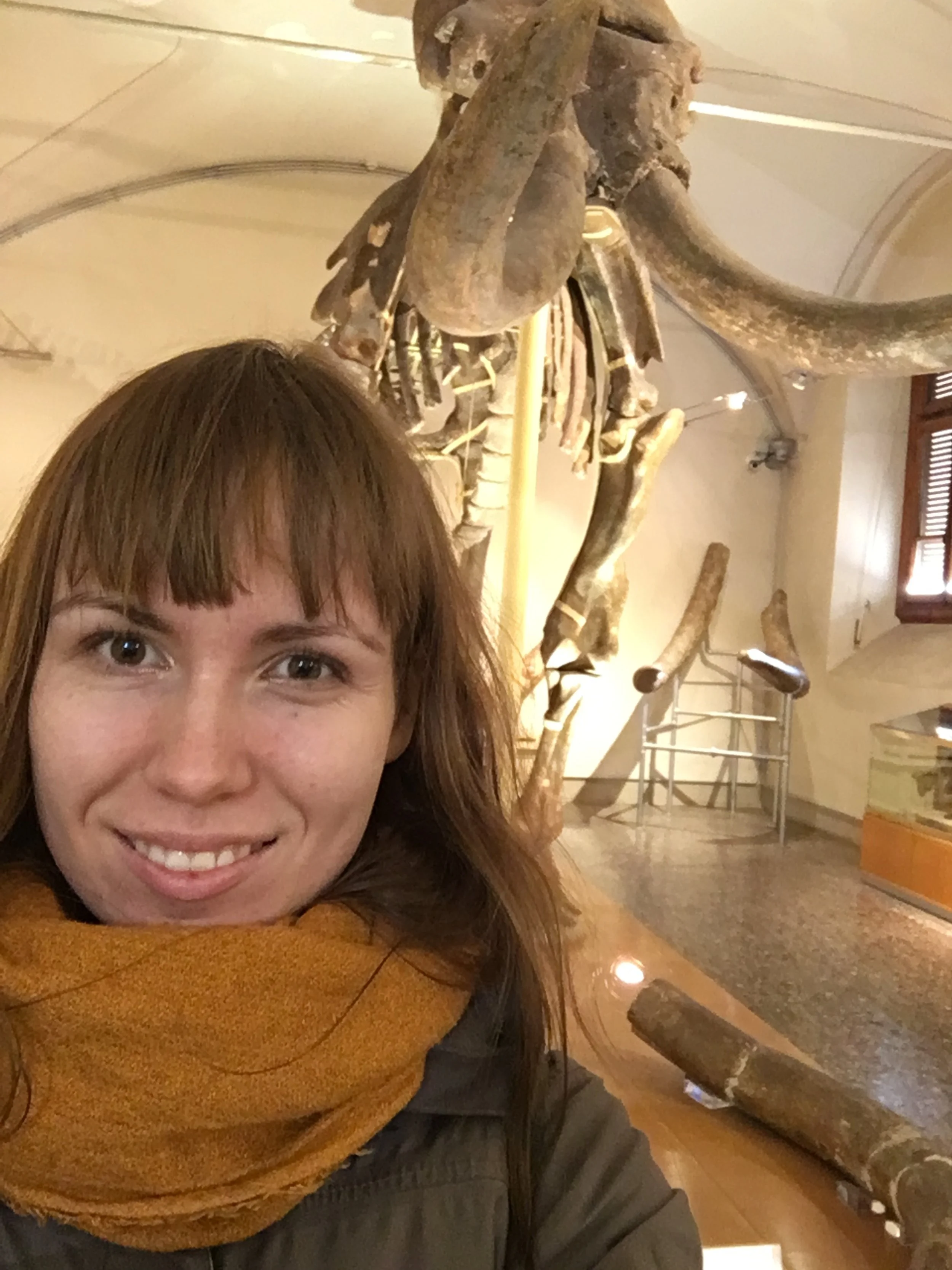 Exploring Mammoth Bone Accumulations in Central Europe (MAMBA) — MAMBA