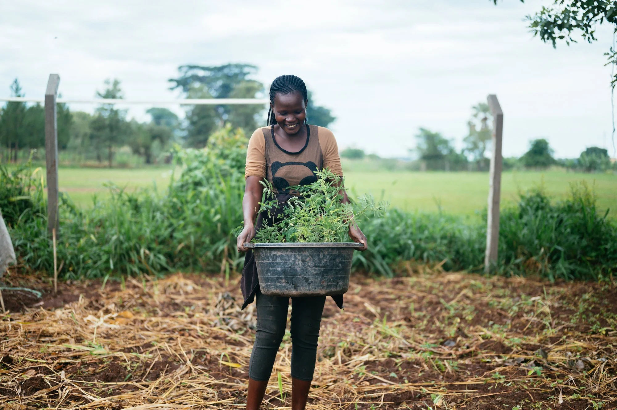 Lucia Paps Art - Fine Artist in London, England