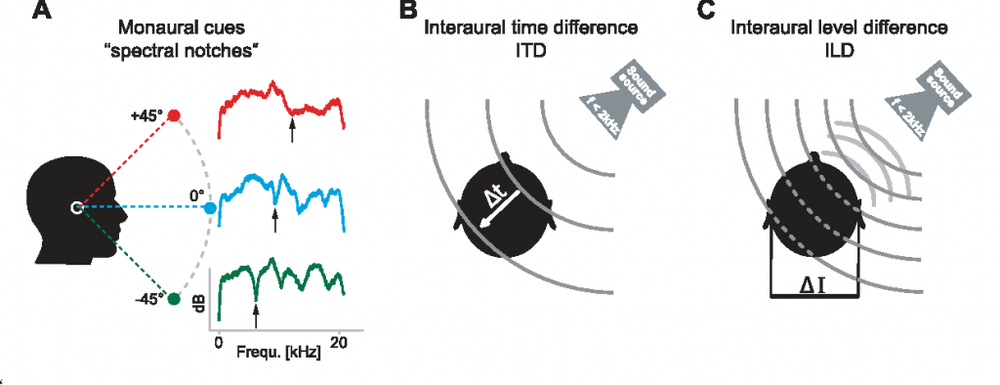What Is Binaural Audio? Immersive Audio Deep Dive | Audiocube