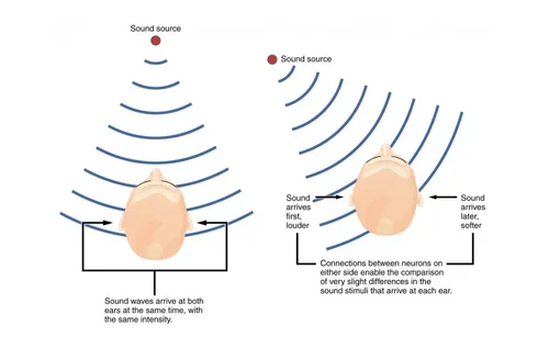 What Is Binaural Audio? Immersive Audio Deep Dive | Audiocube