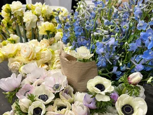 Top Spring Flowers for NC Weddings: Peonies, Ranunculus, Anemones ...