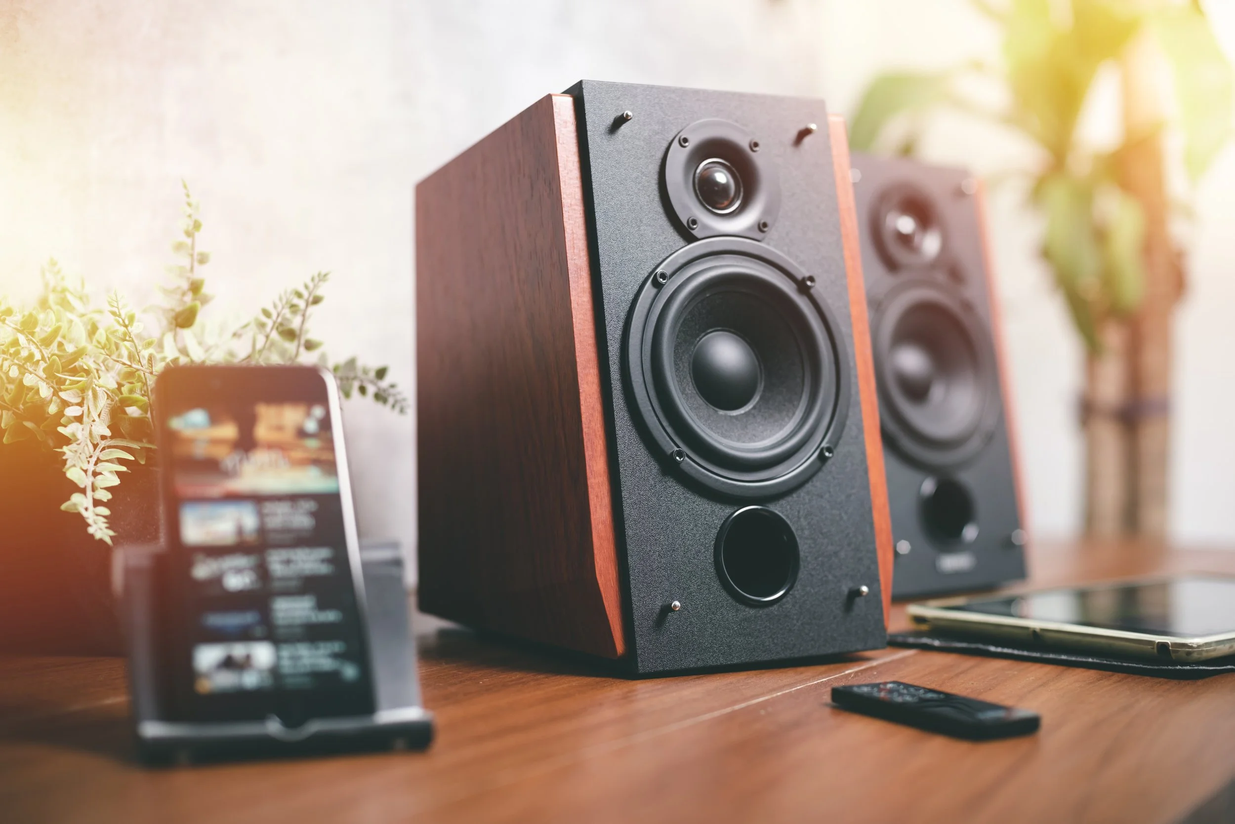 🎶 Sound & Music Distribution System | Seamless Audio Solutions by Tek ...