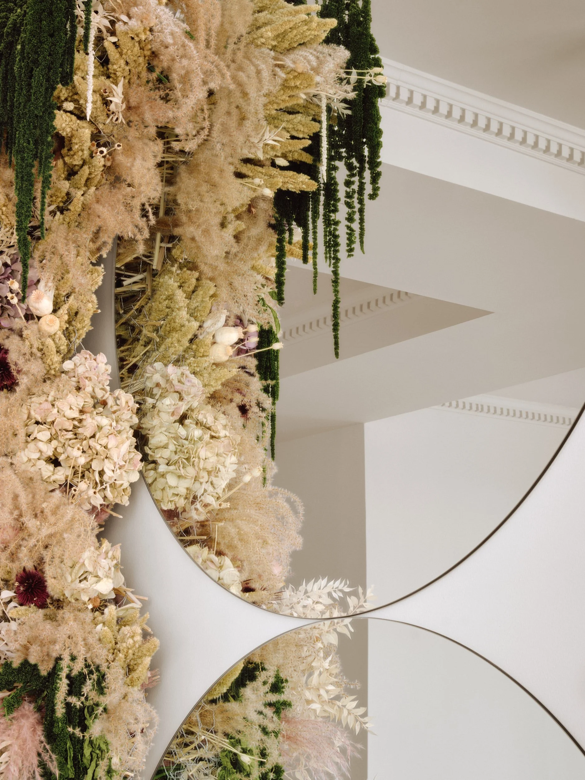 Beauties Lab — Sabrina Barazin Studio