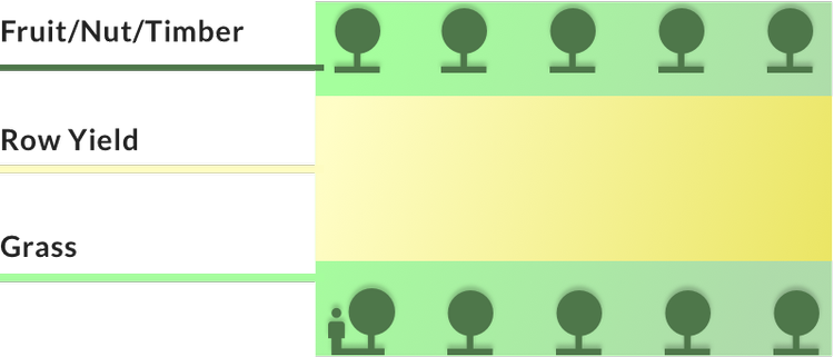 Agroforestry 101 | Enhance Your Farm - Get Started Now — Propagate