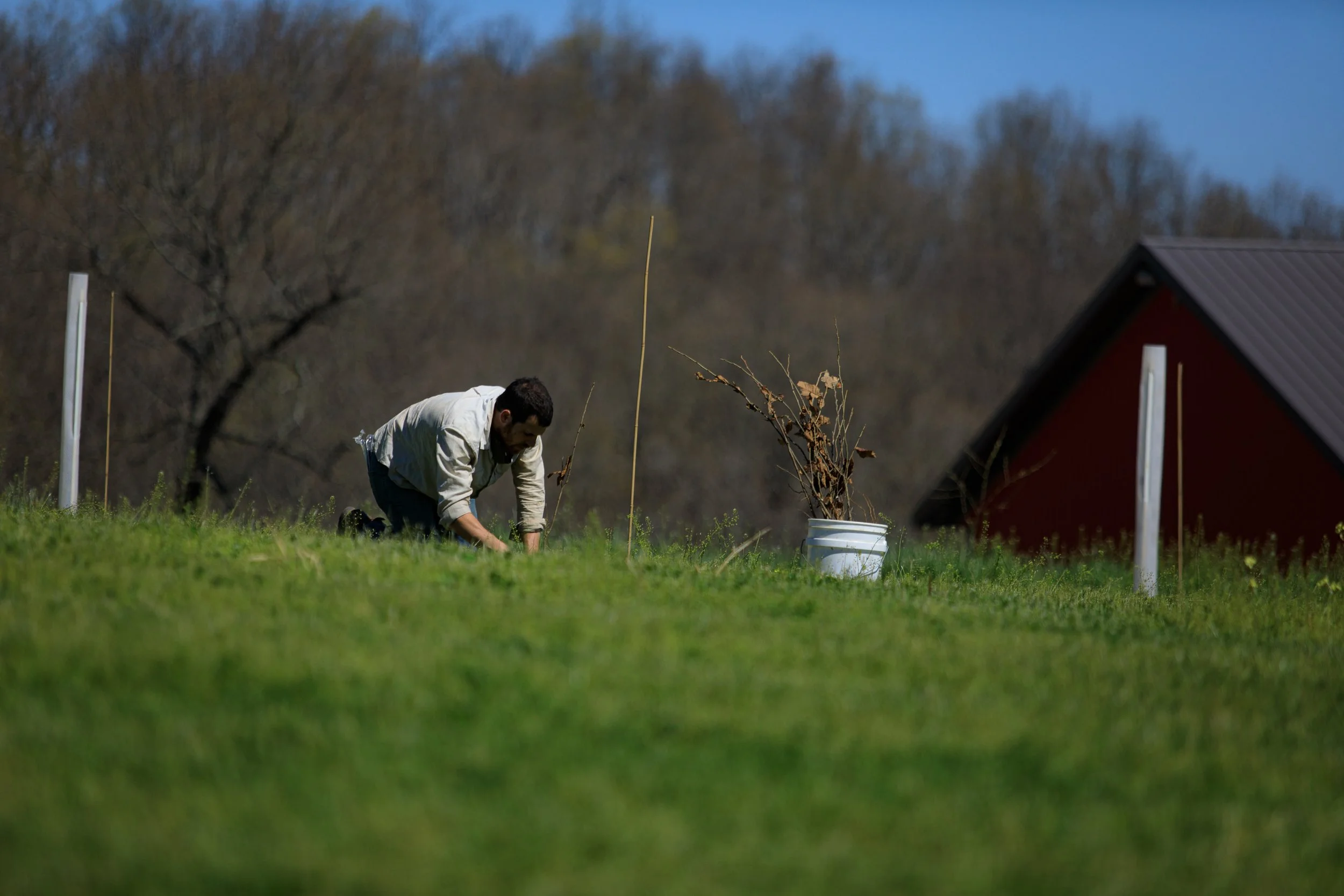 Site Prep & Planting — Propagate