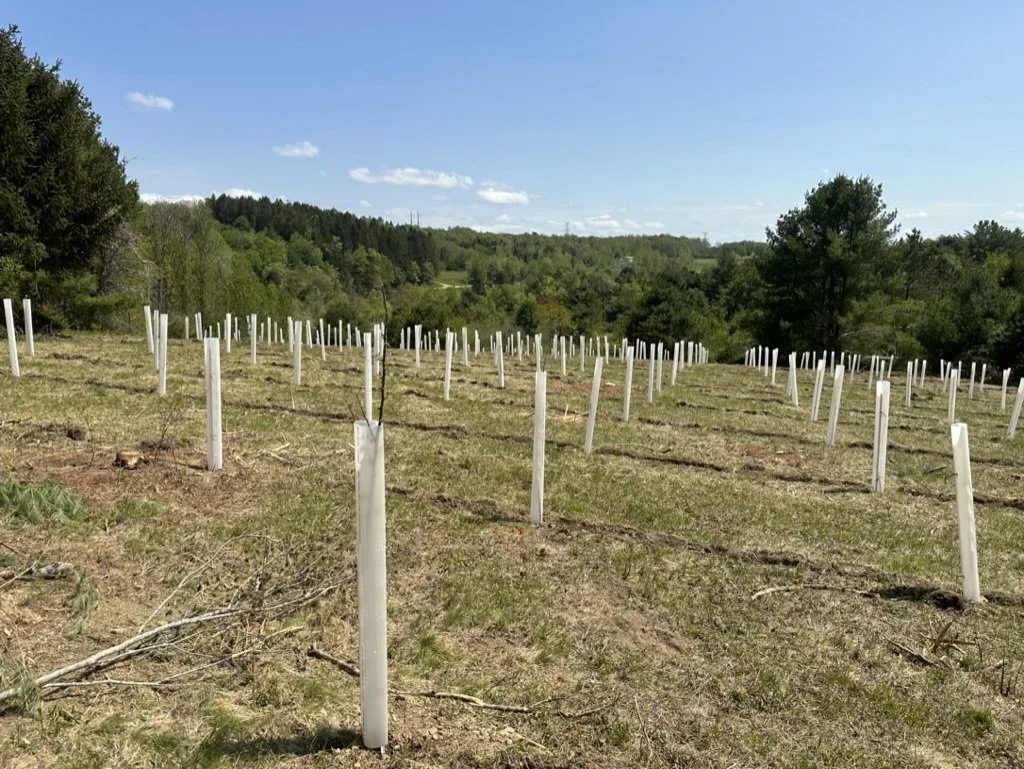 Technical Assistance — Propagate